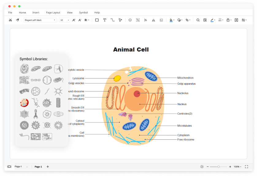 Top 158 Animal Cell Step By Step Lestwinsonline