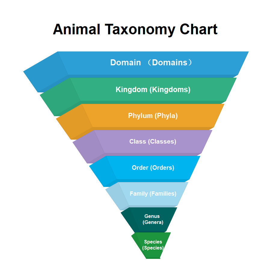 Types Of Conceptual Framework