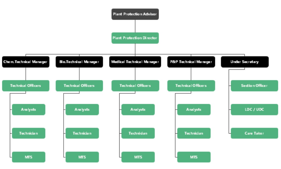 Plant Protection Non Profit Organizational Chart My XXX Hot Girl