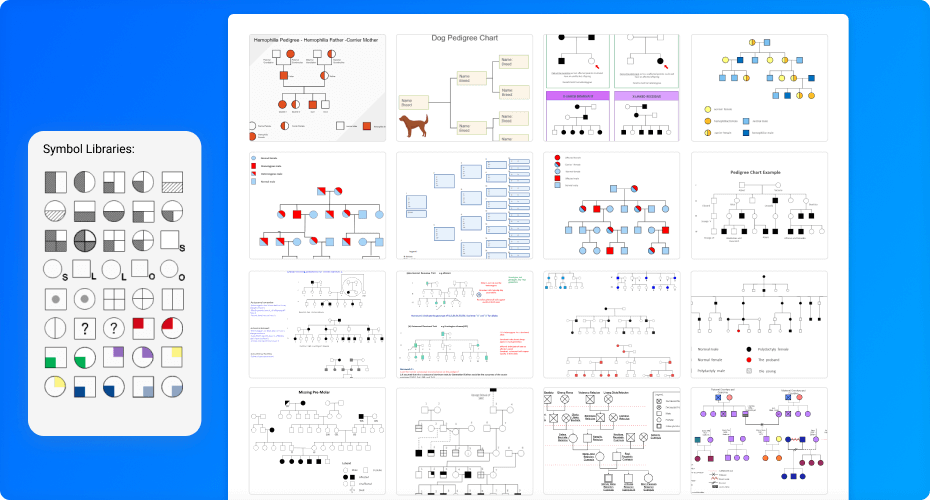 How Do I Read My Dogs Pedigree Chart